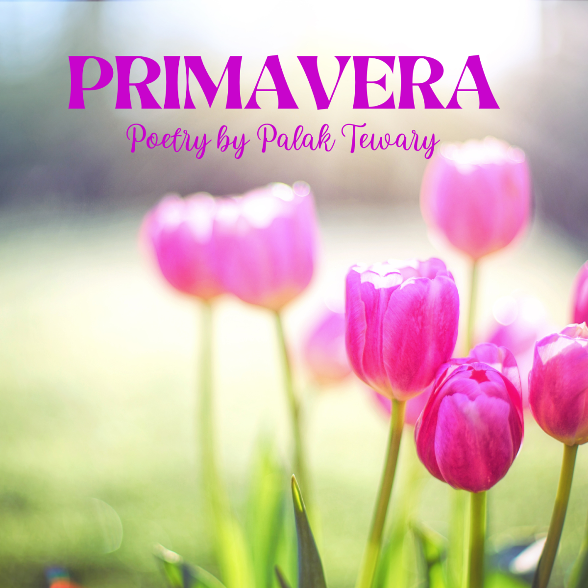 Primavera | Poetry | Pen to Print – Palak Tewary